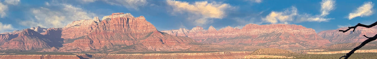 Hats – ZOIC Clothing